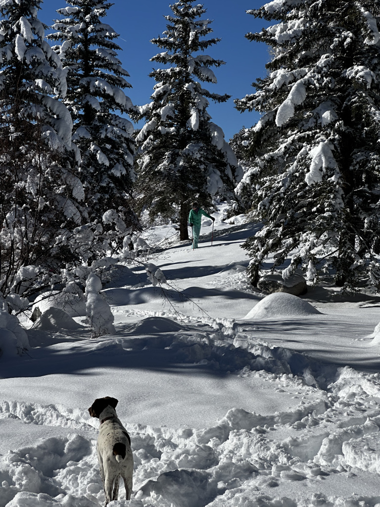 MyTownCryer | Dee & Tom Cryer Your Trusted Real Estate Advisors ...